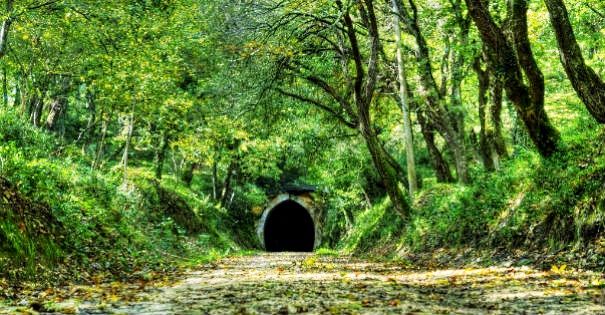 "Ficuzza, da tenuta di caccia a riserva naturale": l'escursione con ...